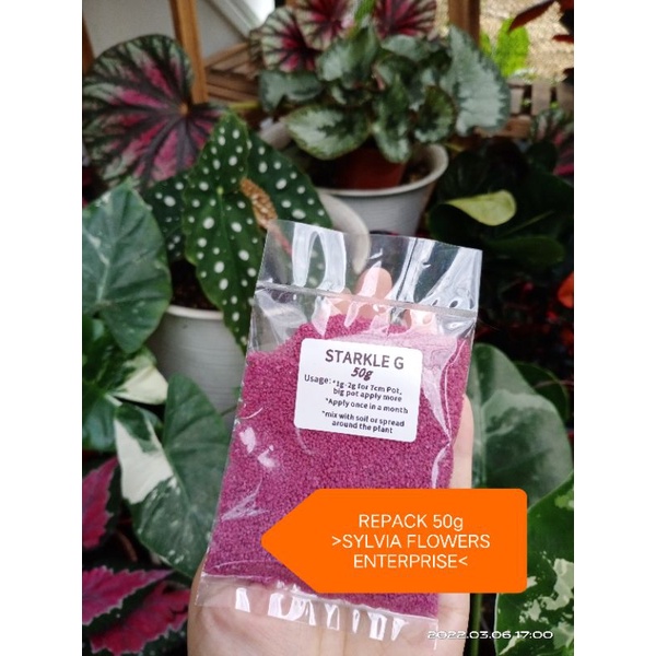 Starkle G ( 50Gram ) | Shopee Malaysia