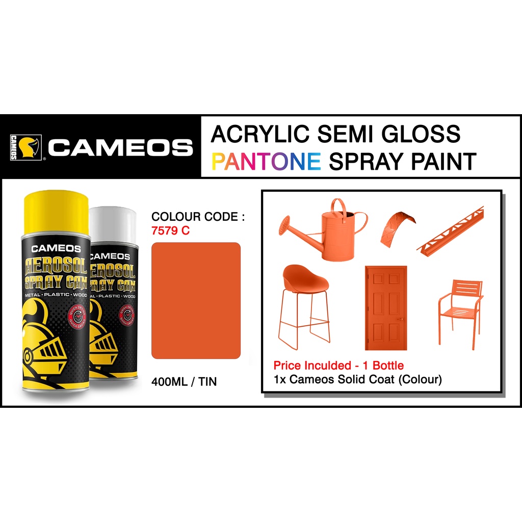 PANTONE Color P8 - Aerosol Spray Paint - CAMEOS 400ML/Bottle | Shopee ...