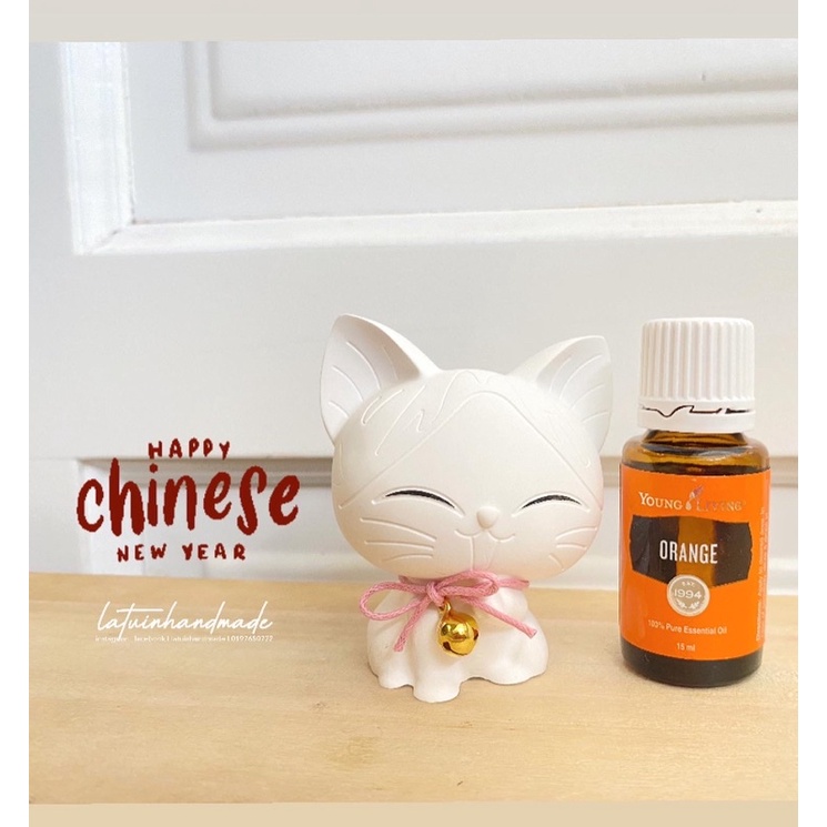 Cat 3D aromastone diffuser for table essential oils Young living gift ...