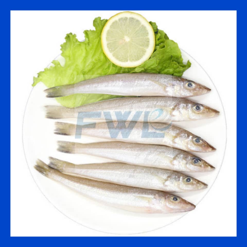 Silver Silago Fish / 沙尖鱼 500g Per Packet ( For Klang Valley Only ...