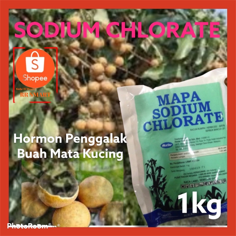 🙀🙀1kg HORMON GALAK POKOK BERBUAH GARAM BULUH / SODIUM🍋🍋 | Shopee Malaysia
