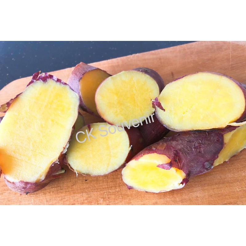 FRESH UBI KELEDEK MADU CAMERON SWEET POTATO CAMERON | Shopee Malaysia