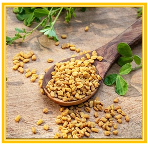 [TP] Fenugreek Seeds/Biji Halba/ Milk booster/ increase Breast milk ...