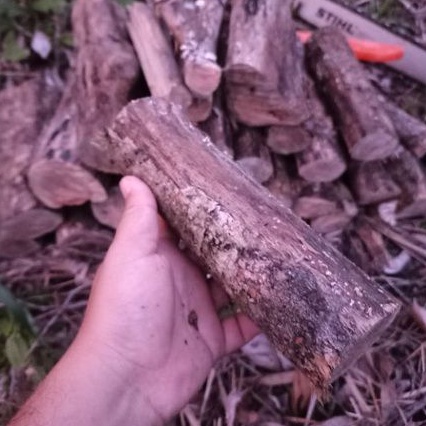 KAYU API 1kg ( panjang +/- 12inci ) sesuai untuk, Salai, Smoker ...