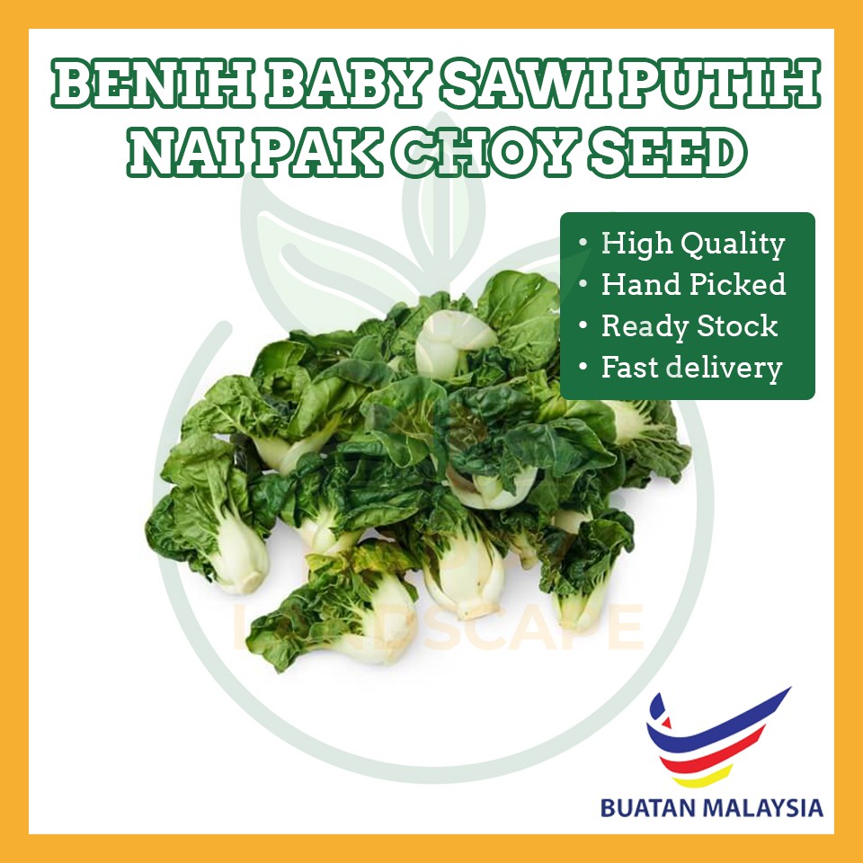 Benih Nai Pak Choy Baby Sawi Putih Seed | Shopee Malaysia