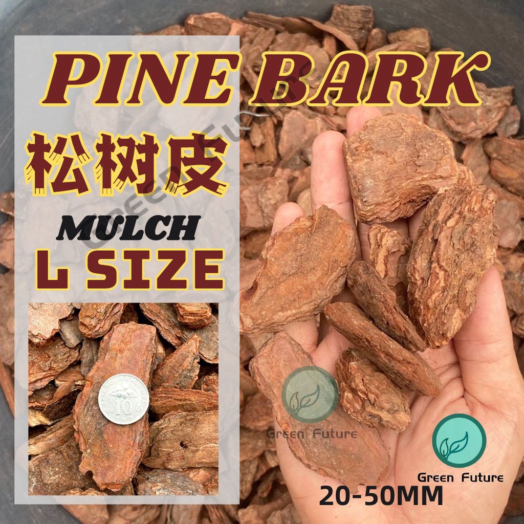 1 KG L size PINE BARK/ Pine scale Orchid potting Pine Bark MURCH ...