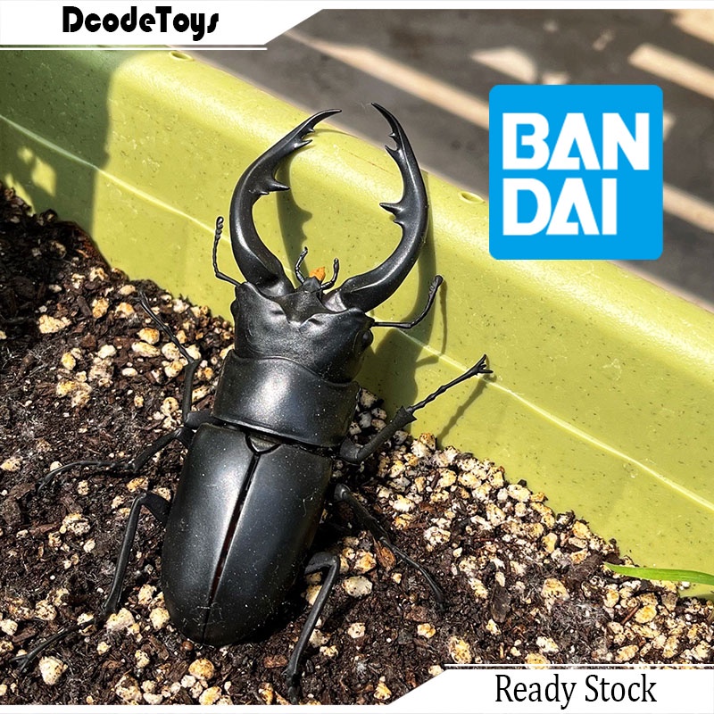 1/1 Size Bandai Gashapon Stag Beetle 3 insect bug -boy girl kid Gift ...