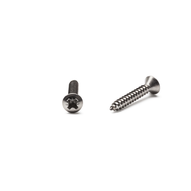 MK Self Tapping Screw 6# X 1" - CSK Head (25pcs) | Shopee Malaysia