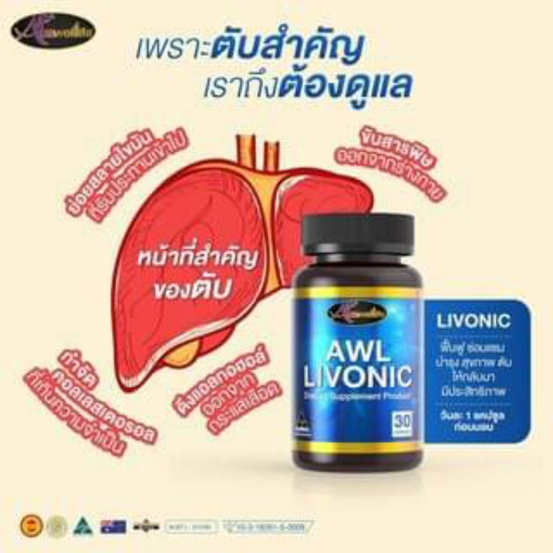 AWL Livonic 30 Tablets Liver Maintenance Supplement Heavy Drink ...