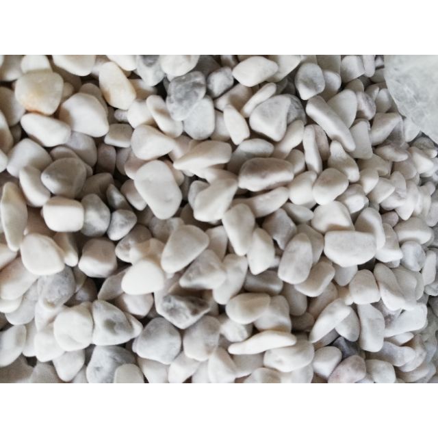 Pebble stone white mini / batu putih kecil | Shopee Malaysia