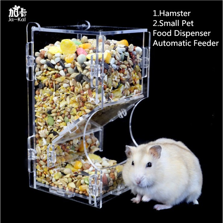 Food Dispenser Automatic Feeder Plastic Clear For Hamster Guinea Pigs ...