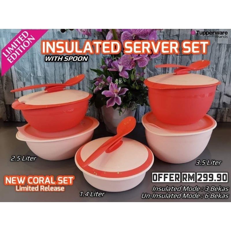 insulated server set (6) -tupperware brands | Shopee Malaysia