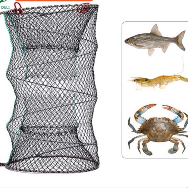 [Combo] Shrimp, Crab, and Fish Traps Crab Traps - NGOC HAI FISHING ...