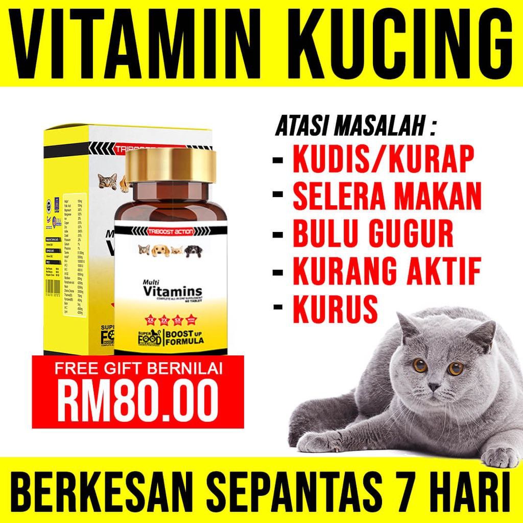[TERLARIS] Tablet Vitamin Kucing Superfood Bebas Kurap Bulu Gugur Sporo ...
