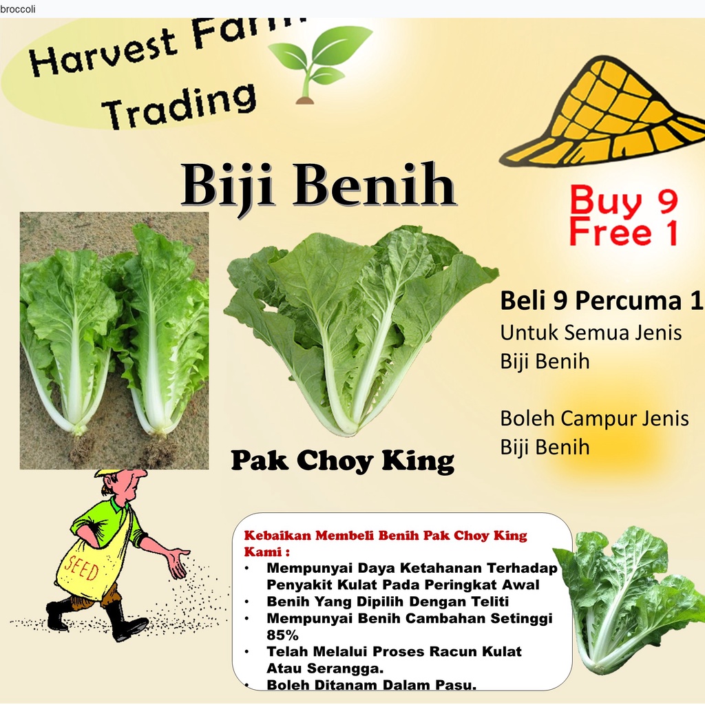Biji benih Pak choy ong king 150pcs +- 皇帝白菜王小白菜种子種子 Biji Benih Pak Choi ...
