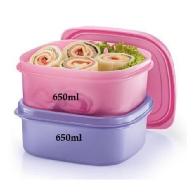 Tupperware Ezy Pack 650 ml (1) Random | Shopee Malaysia