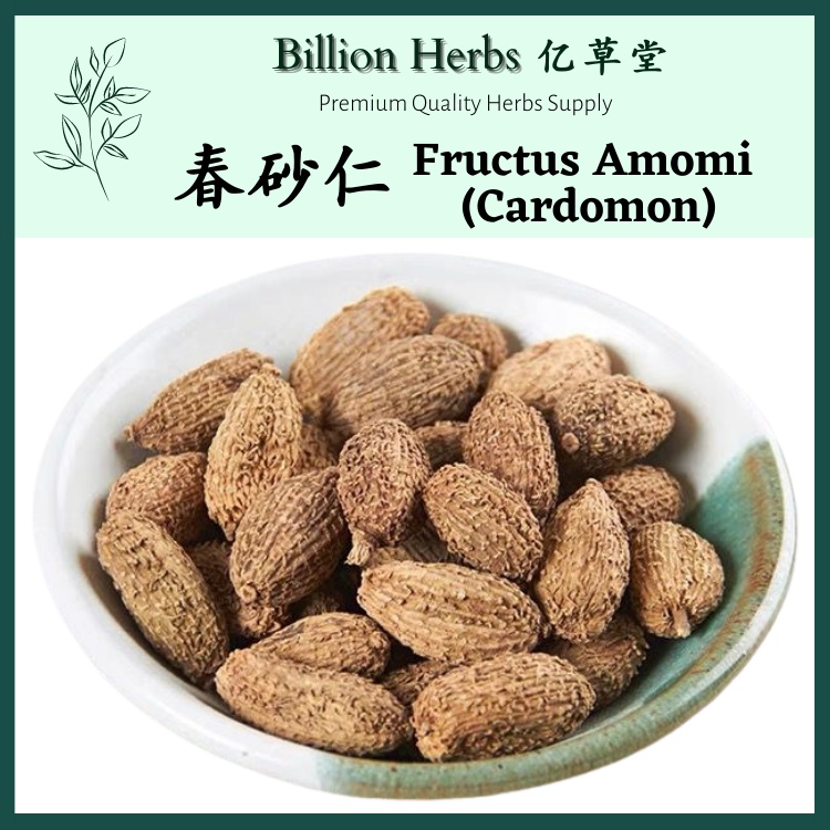 亿草堂 春砂仁 100g Fructus Amomi (Cardomon) / 中药材 Chinese Herbs / 中药 中草药 草药 ...