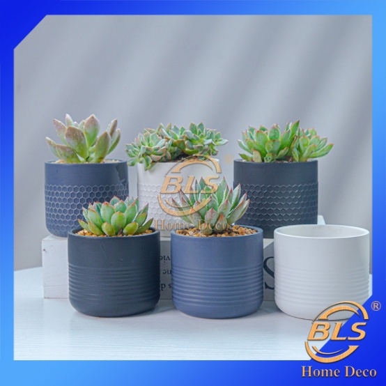 Short Cylinder Cactus Succulent Ceramic Pot THG 061 Home & Gardening ...