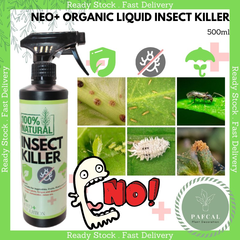 (READY STOCK) Neo+ Premium Organic Insect Killer for Plants ...