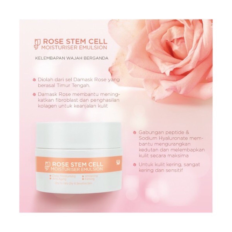 SALE ROSE STEM CELL BY SENDAYU TINGGI 💯ORI HQ | Shopee Malaysia