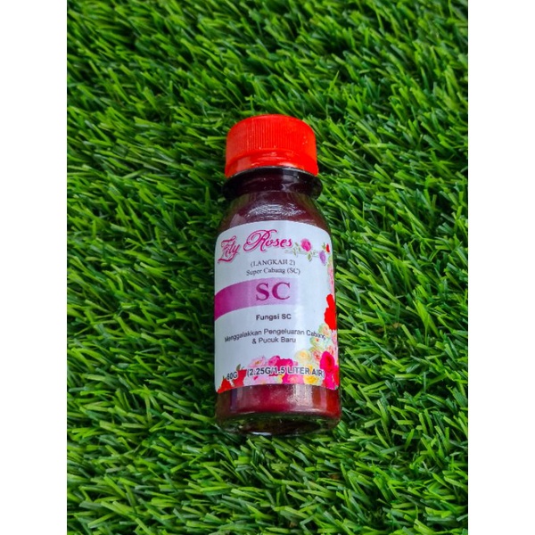 (READY STOCK) SET INOVASI 5 SERANGKAI ZETY ROSES | Shopee Malaysia