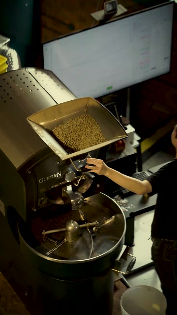 JWC Roastery - 3 x 100g Coffee Bean Taster Pack (JWC Signature House ...