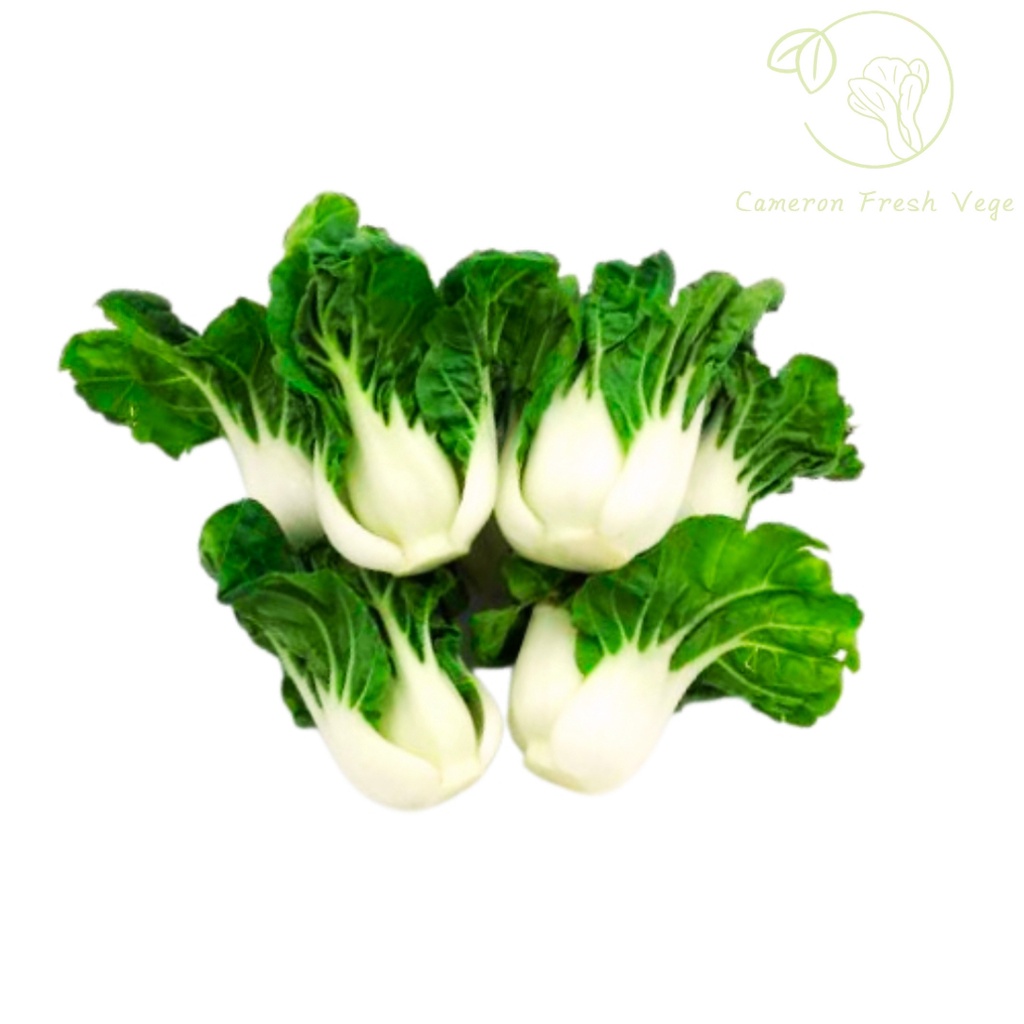 Baby Nai Pak 金马伦奶白仔 （200g-1kg） | Shopee Malaysia
