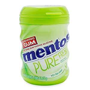 57g Mentos Sugarfree Bottle Chewing Gum Pure Fresh Mint / Berry Lime / Watermelon / Strong Mint ...
