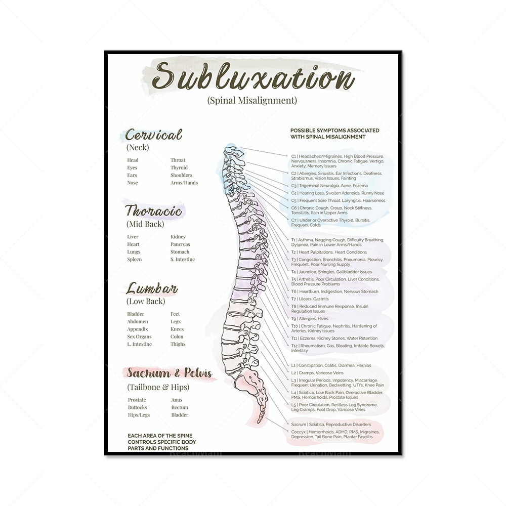 Spinal subluxation poster, autonomic nervous system poster, spine ANS diagram, chiropractic ...
