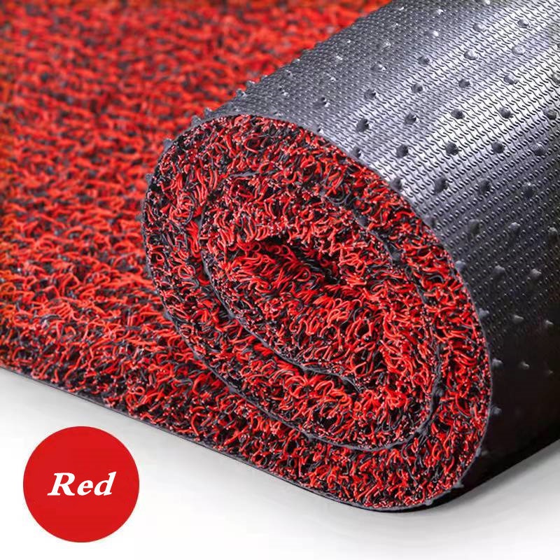 🔥Free shipping🔥Thick Carpet Heavy Dust Removal Rug Entrance Doormat ...