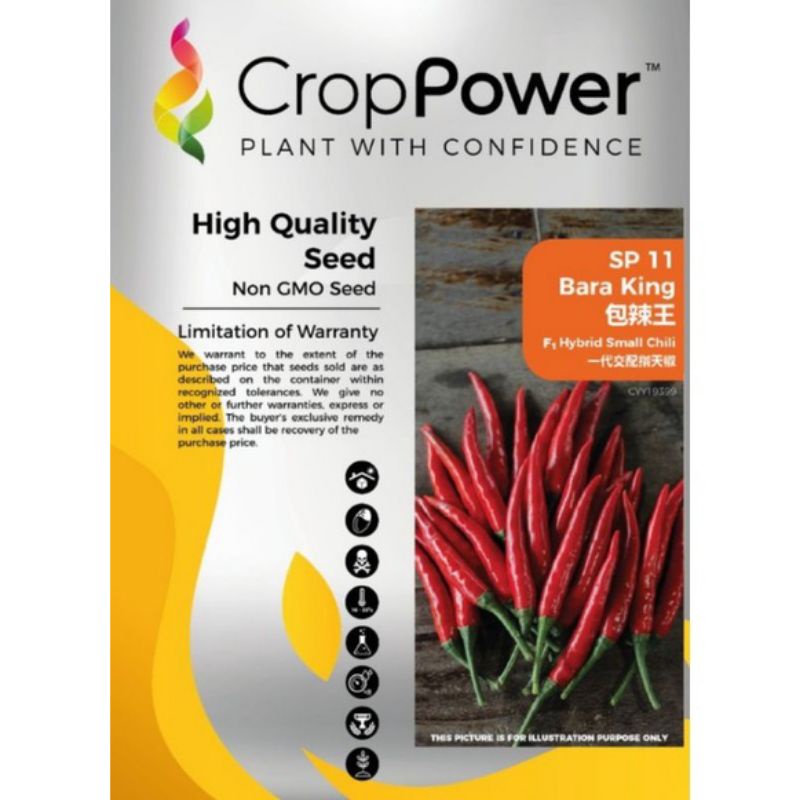 Benih cili api Bara King F1 HYBRID | Shopee Malaysia