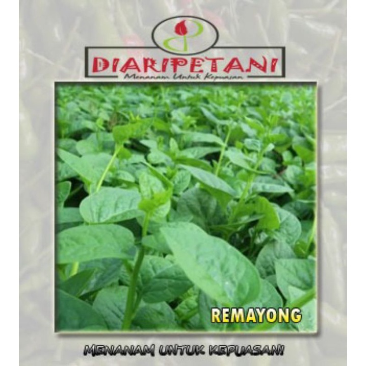 Benih Remayong/ Bayam Malabar/ Sawi Raja Pek Kecil | Shopee Malaysia