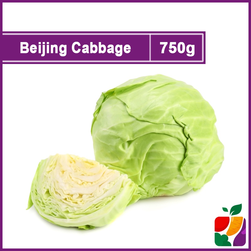 Beijing Cabbage / Kobis Beijing / 北京包菜 (750g) Fresh Vegetables Delivery ...