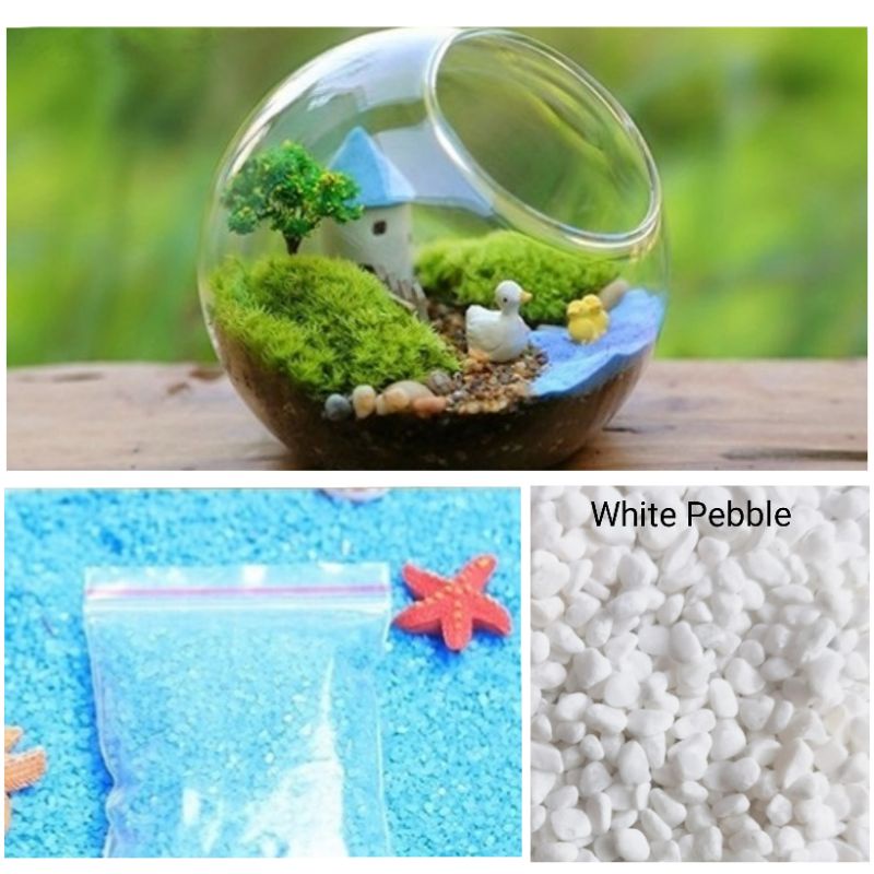 Blue Sand/Stone Pebble Terrarium Succulent Cactus Mini Garden Deco ...