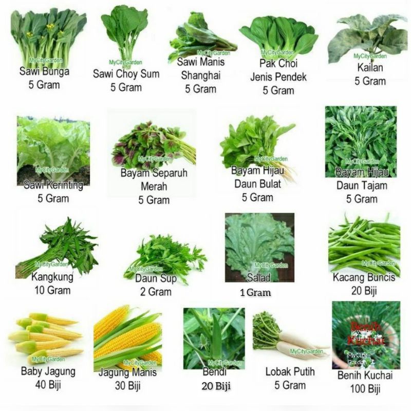 Ready Stock- Biji benih Sayur-sayuran, Vegitable Seed, Benih Pelbagai ...