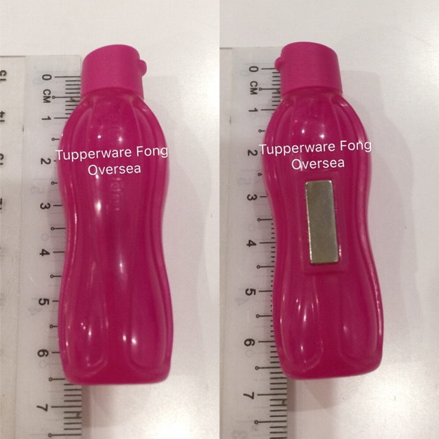 Tupperware Magnet Mini (1pc) | Shopee Malaysia