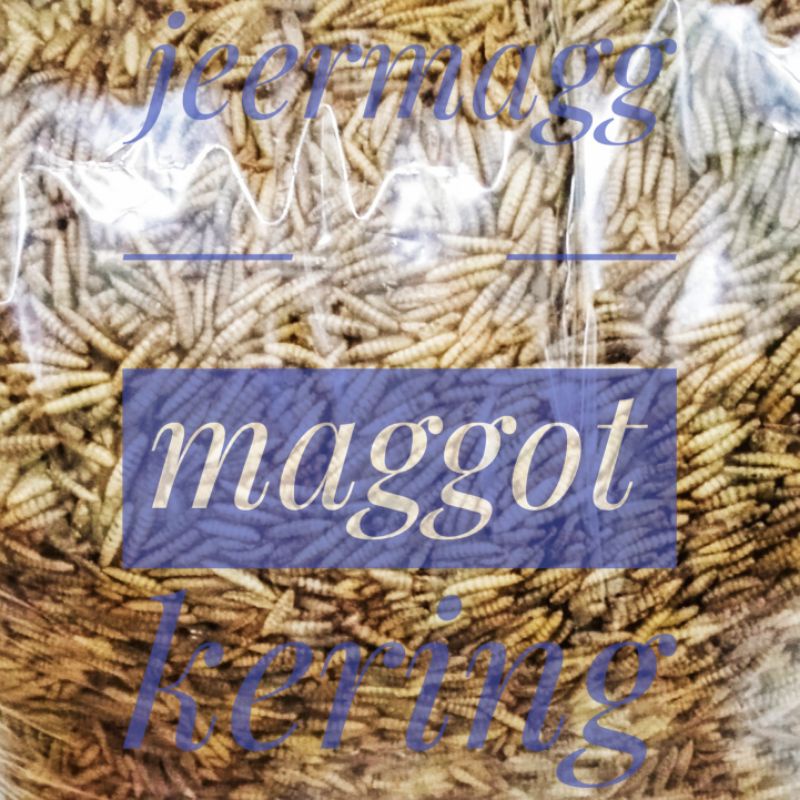 Maggot Dry 100% Dried BSF Larvae Bulky Bulky 1 kg | Shopee Malaysia