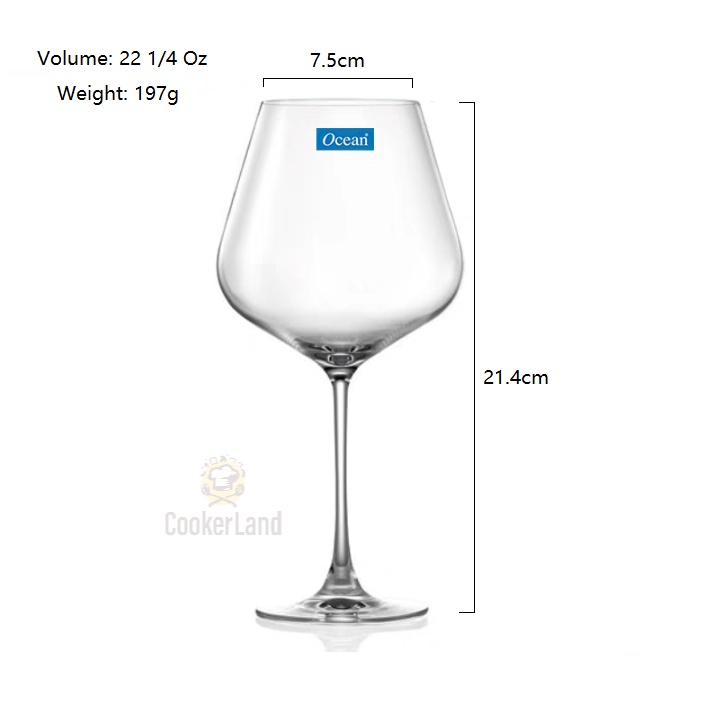 OCEAN Red/White Wine Glass [12oz/22oz] Red Wine/White Wine 玻璃红酒杯/Cawan ...