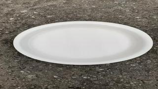 Polystyrene 9" Foam Plate [ 100pcs± ] Polistrin Piring - Polisterin ...