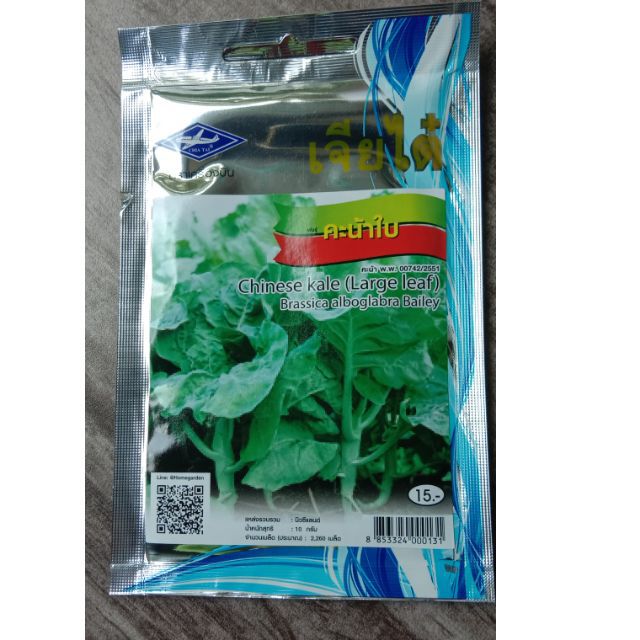 Benih kailam thai (Chinese Kale large leaf) | Shopee Malaysia