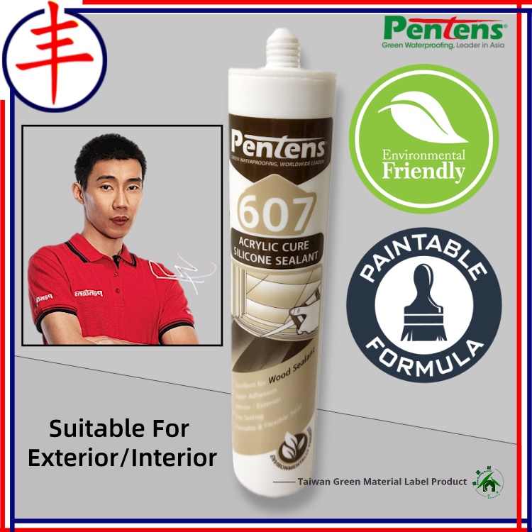 FY Pentens 607 Acrylic Cure Silicone Sealant Wood Sealant Paintable ...