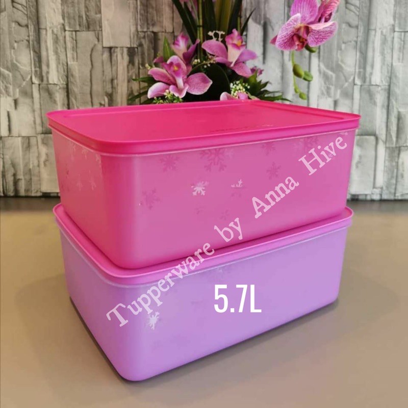 Tupperware Chill Freeze Large (5.7L) | Shopee Malaysia