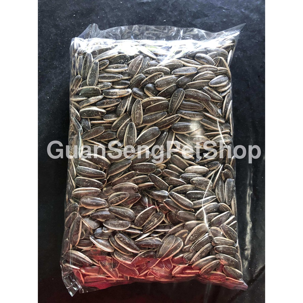 USA Crown Sunflower Seed Kuaci Burung Kuaci Parrot Kuaci Hasmter Food ...