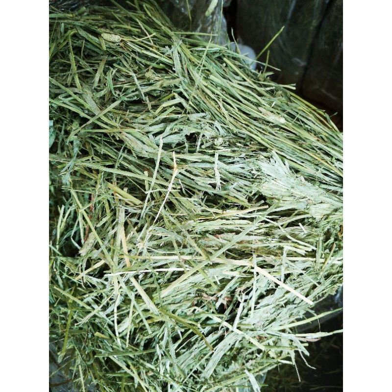 Alfalfa Hay 1kg Rumput Kering Alfalfa 1kg | Shopee Malaysia