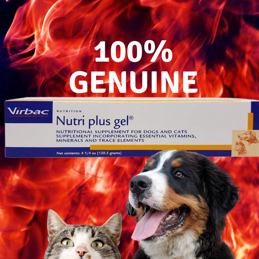 GENUINE!! READY STOCK Virbac Nutri-Plus Gel Multi Vitamins for Cats ...