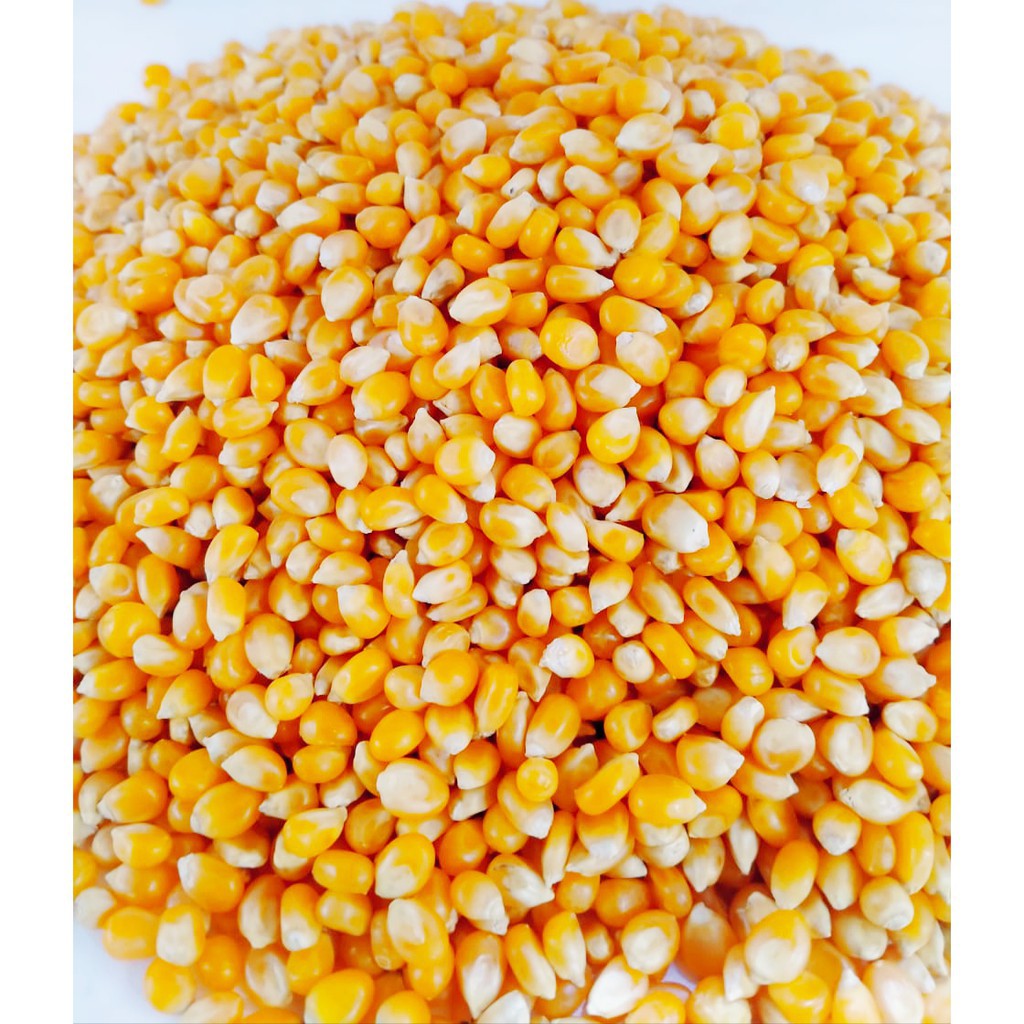 Popcron corn re pack @1kg | Shopee Malaysia