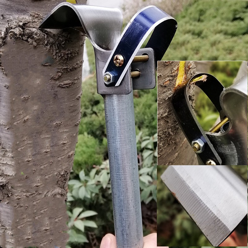 Graft budding Fruit Tool Prun bark blade Cutter Seedling florist Cut ...