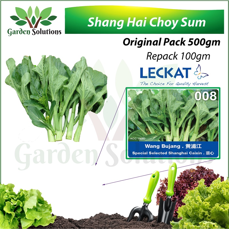 Sawi Hong Kong seeds choy sum Hong Kong 500g and Repack 100g 香港菜心种子 ...