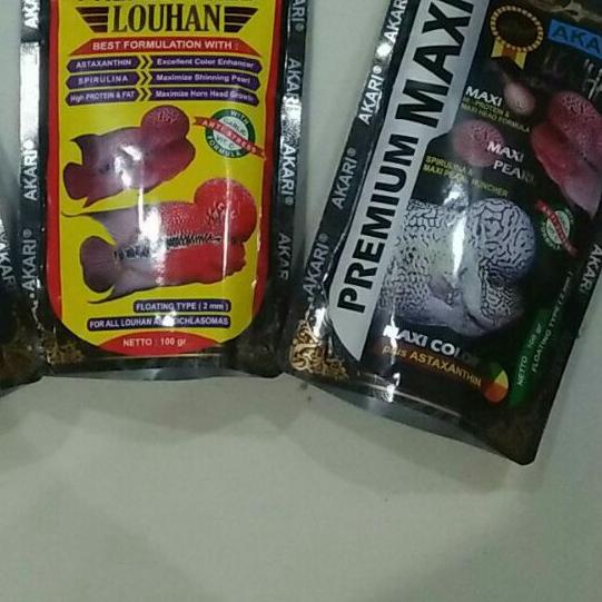 Akari Premium Blue yellow Red Maxi LOUHAN PRO CHANNA predator lohan ...