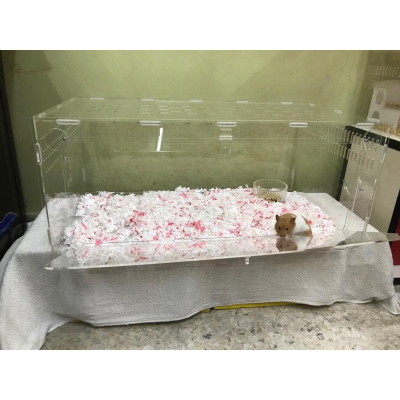 Acrylic cage for hamster/lizard/hedgehog/仓鼠笼/蜥蜴🦎/刺猬🦔/蜘蛛（door open on ...